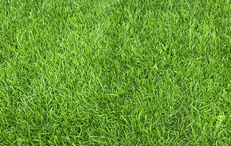 List of Sod Types | Sod Calculator